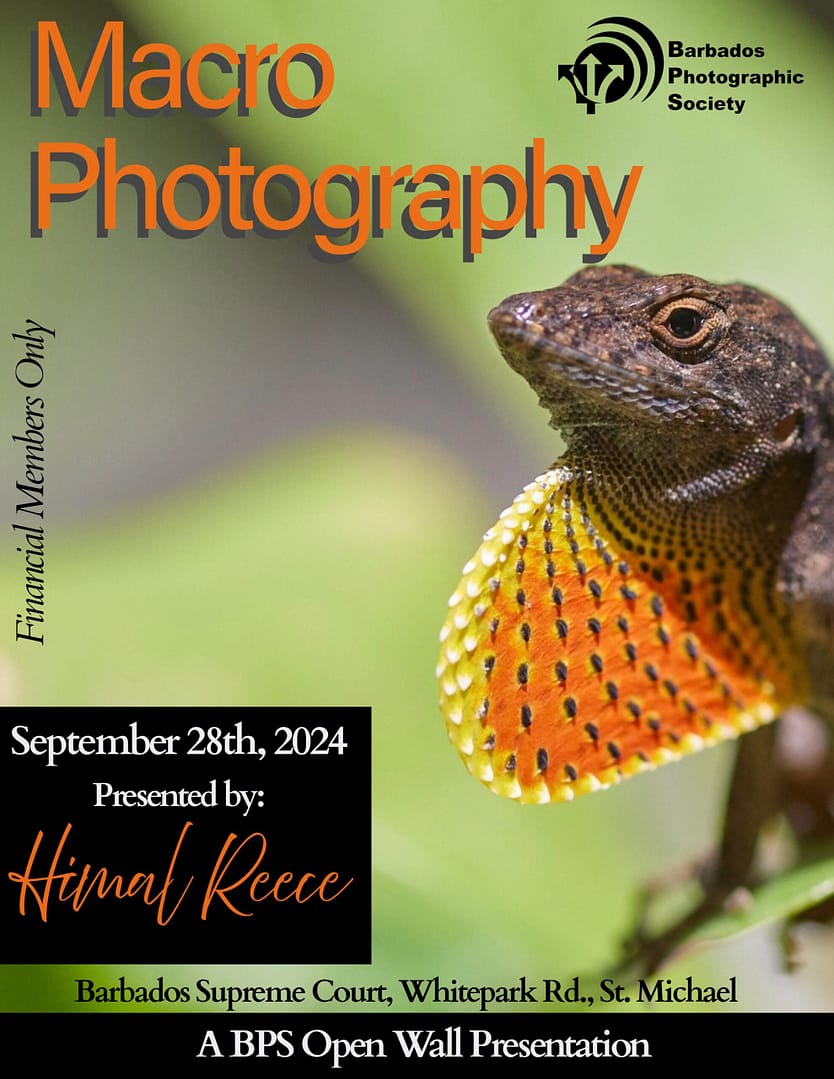 Open Wall Presentation: Macro Photography – thebarbadosphotographicsociety