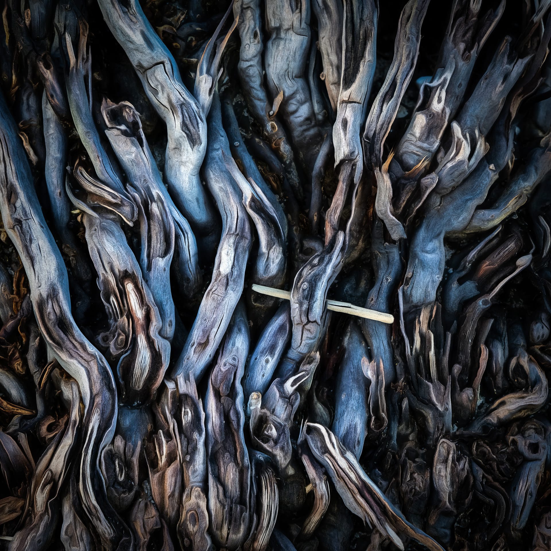 Hugh Walker – thebarbadosphotographicsociety